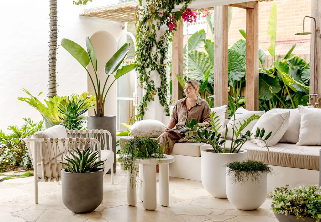 Your Expert Guide to Choosing the Perfect Designer Pots – The Balcony ...