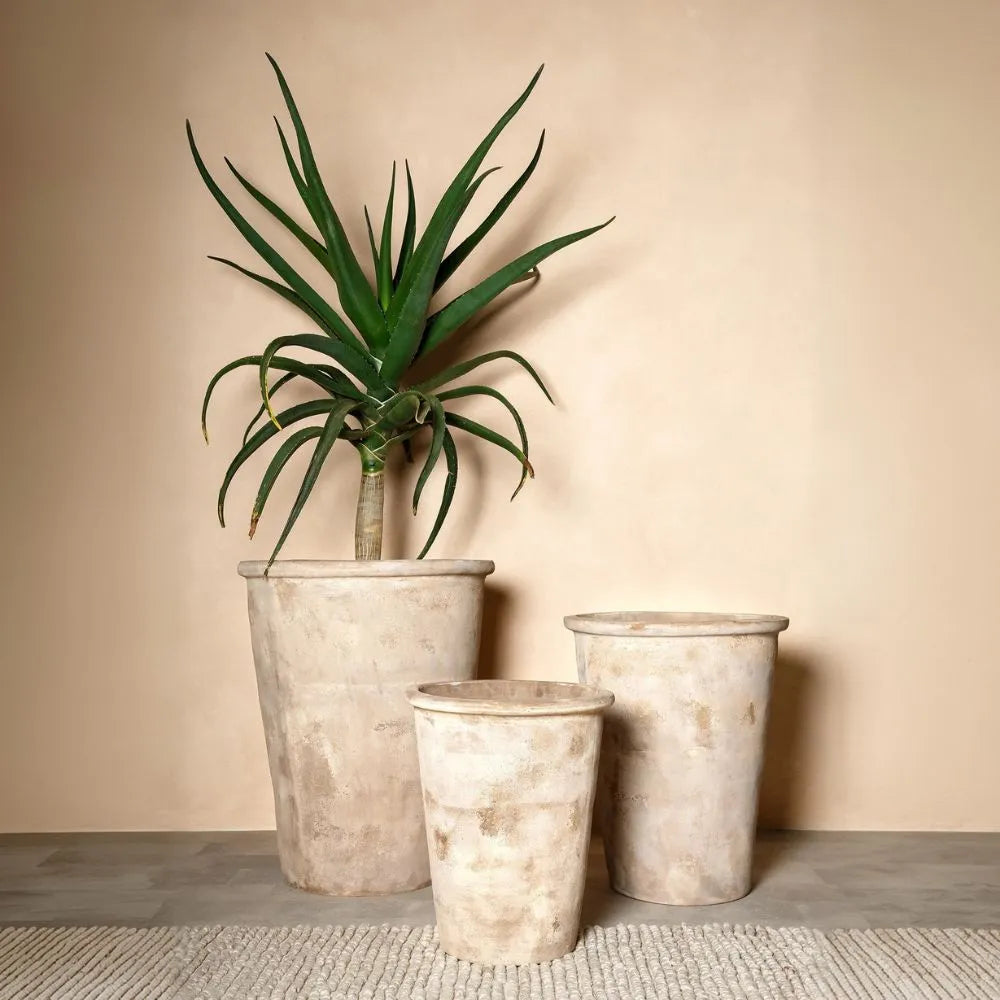 Classic Conical – The Balcony Garden US