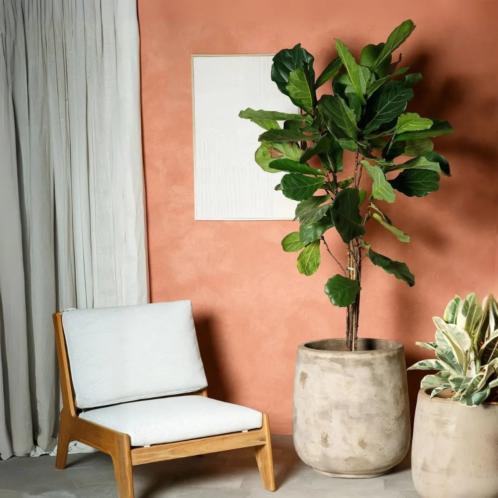Modern Urn Terracotta Planter | The Balcony Garden – The Balcony Garden US